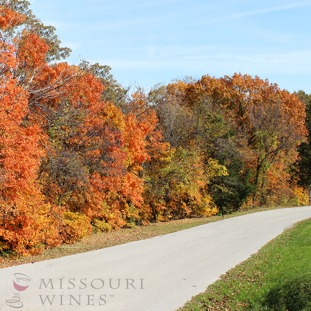 Show Me Wine Country: Fall Drives | MO Wines